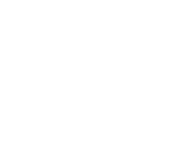 RTI at Work™ Institute